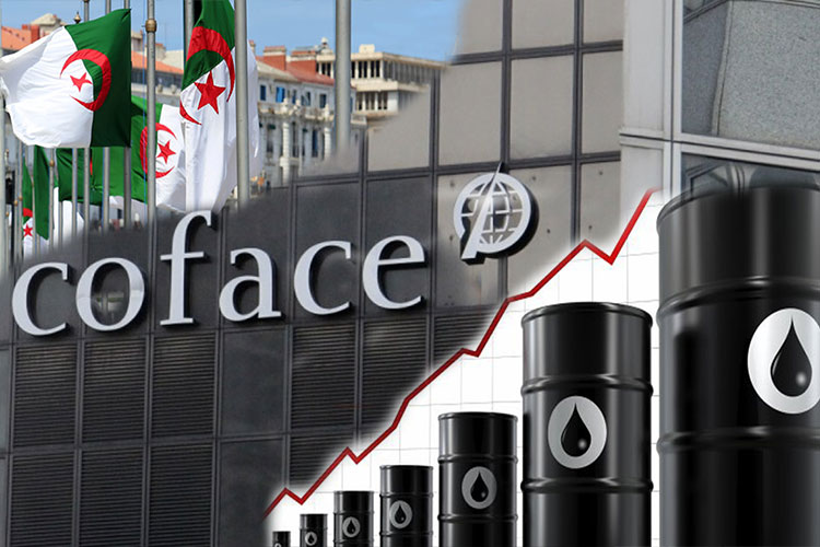 COFACE: Algeria's Purchasing Power To Stabilize, Exchange Reserves To ...