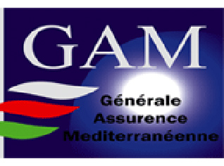 General Mediterranean Insurance GAM plans to enter stock market ...