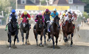 Big Brown cruises to Preakness victory – الشروق أونلاين