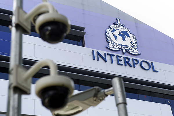 "INTERPOL" Busts Gang Network Involved In Theft Of Luxury Cars From ...