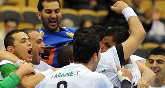 Algeria wins the 2014 African Men's Handball Cup of Nations – الشروق ...