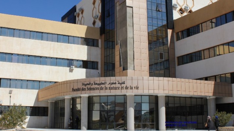 Classements internationaux des meilleures facultés: Sétif dans le top ...