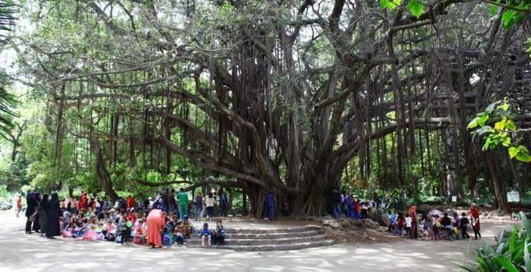 Découvrez ces clichés rares du film "Tarzan" tourné en Algérie en 1938 ...