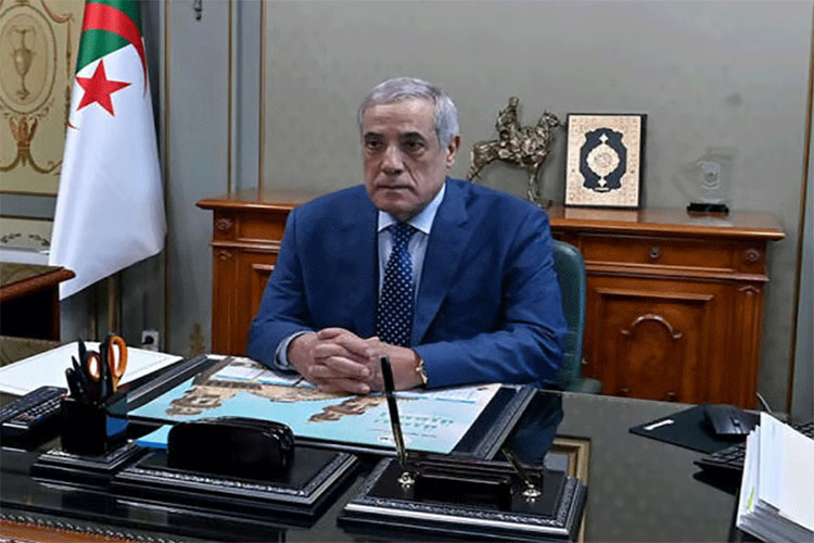 Algeria Wants to Mobilize Solidarity With Palestine and Western Sahara ...