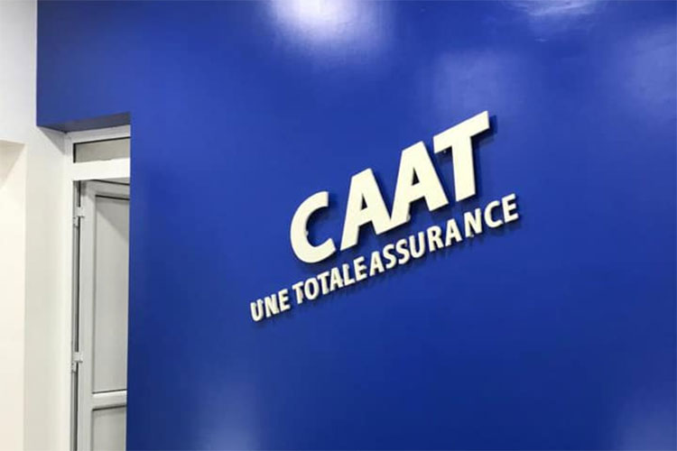 ارتفاع رقم أعمال "كات" إلى 2670 مليار عام 2023 – الشروق أونلاين