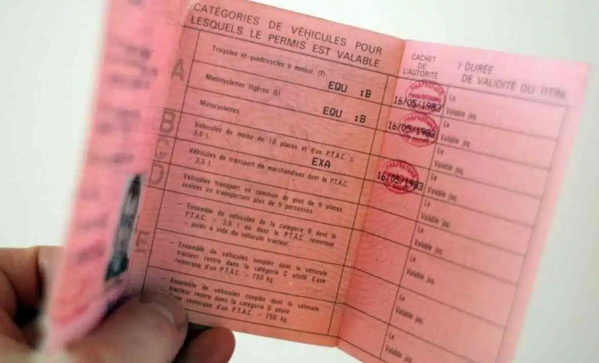 Permis de conduire en Algérie: Voici le nouveau programme de formation ...