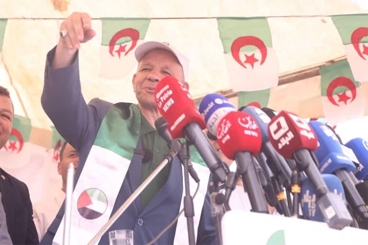 مؤيدو تبون في تجمعات واسعة عبر ربوع الوطن – الشروق أونلاين